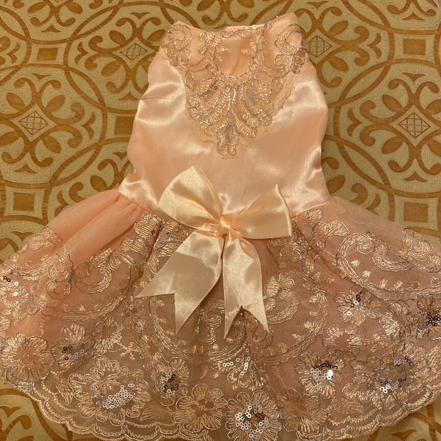 Йоркширский терьер, щенок