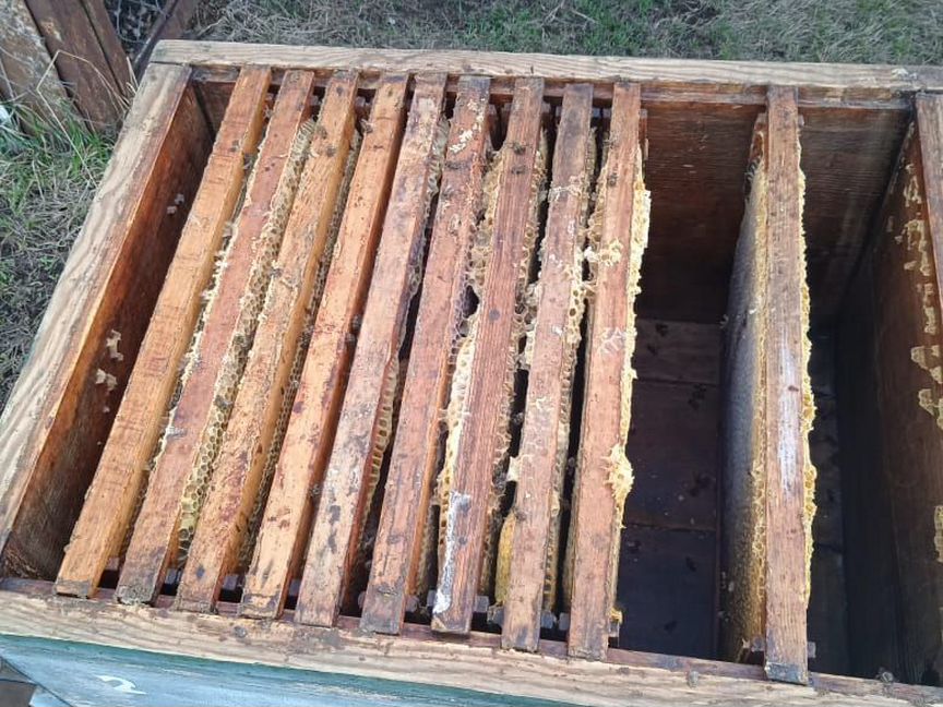 Ульи для пчел бу