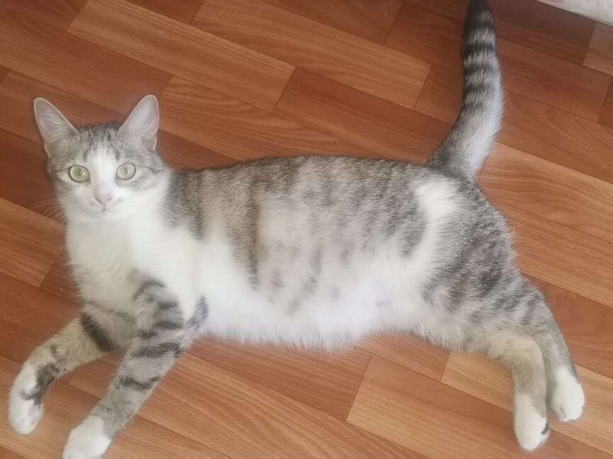 Сама нежность