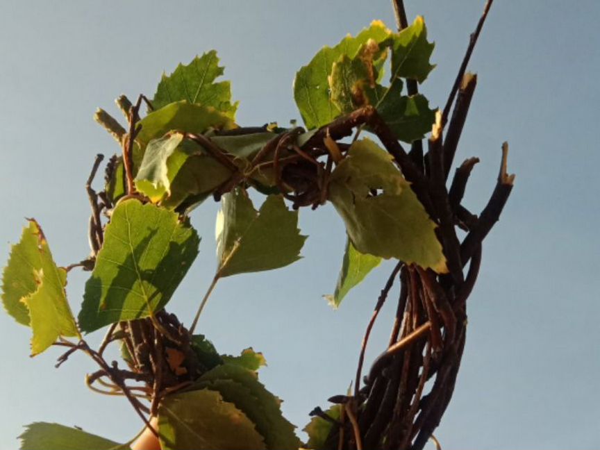 Игрушка для попугая