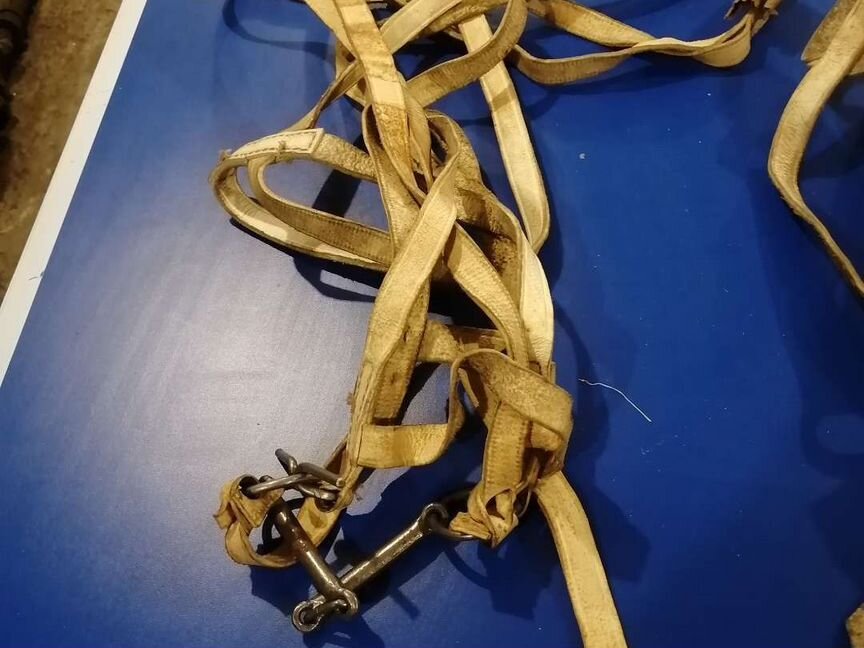 Узда для лошади