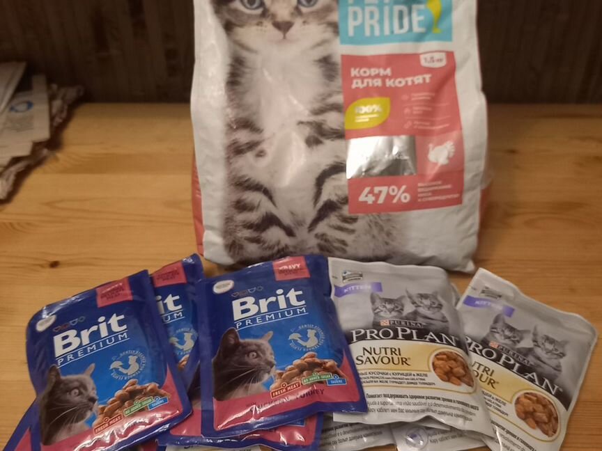 Корма для кошек и котят