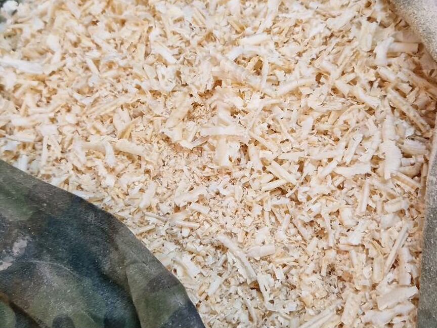 Опилки сухие