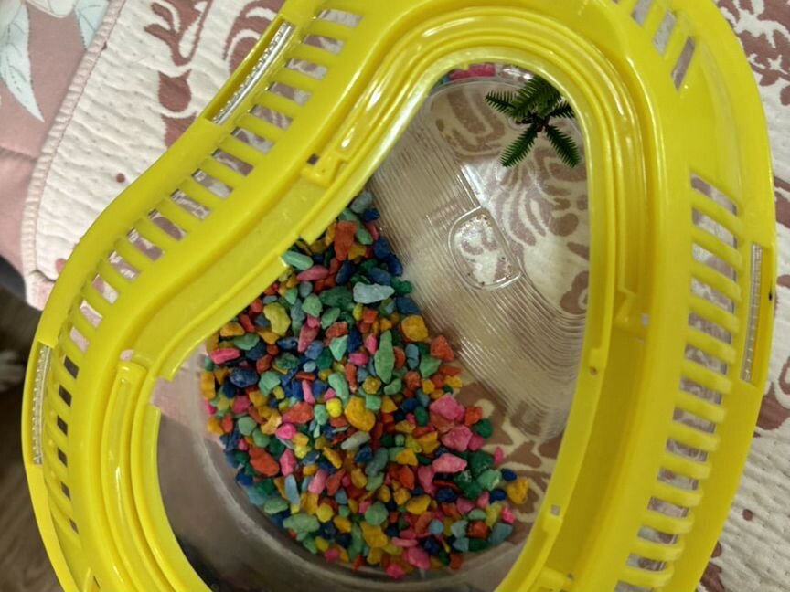 Аквариум для черепахи