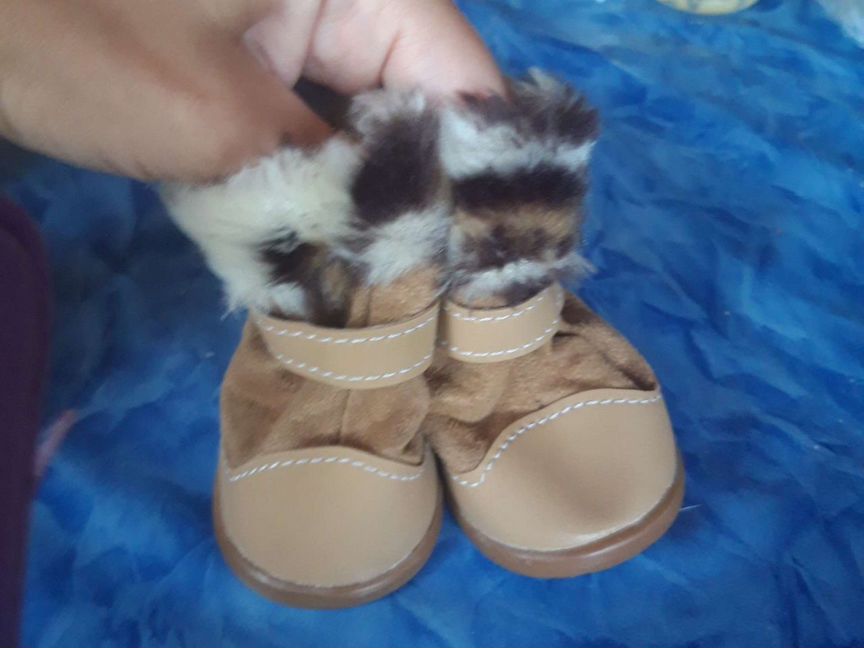 Ботиночки для любимого питомца 2 комплекта