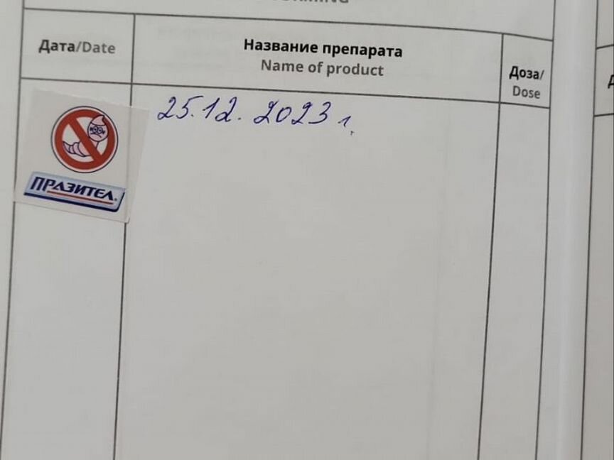 Самоедская лайка щенки