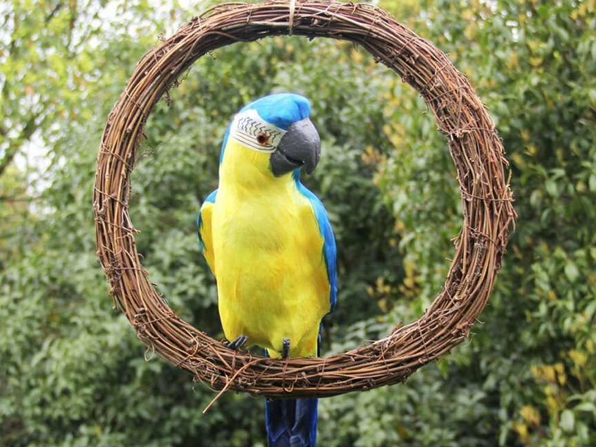 Венок кольцо для птиц, попугаев