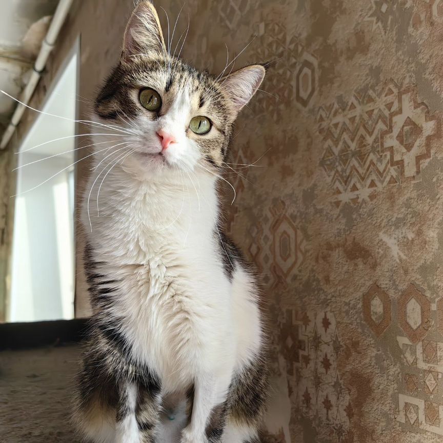 Вы думаете, она слишком обычная