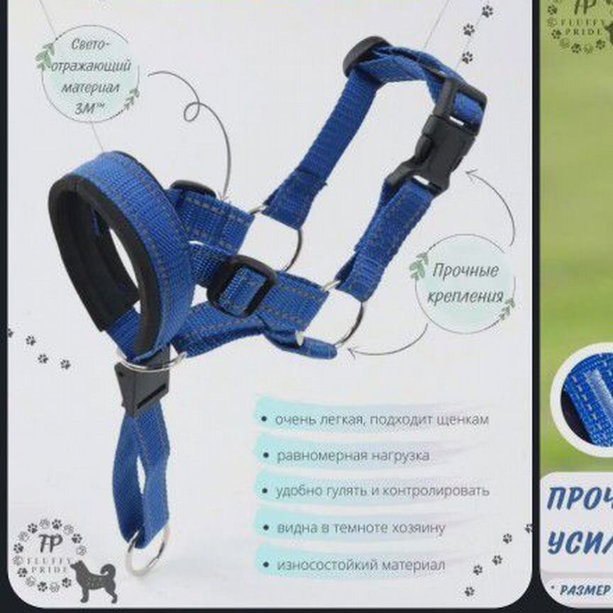 Недоуздок для собак для дрессировки