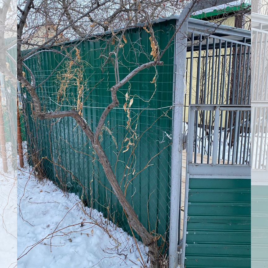 Вольер для собак уличный (Разборный)