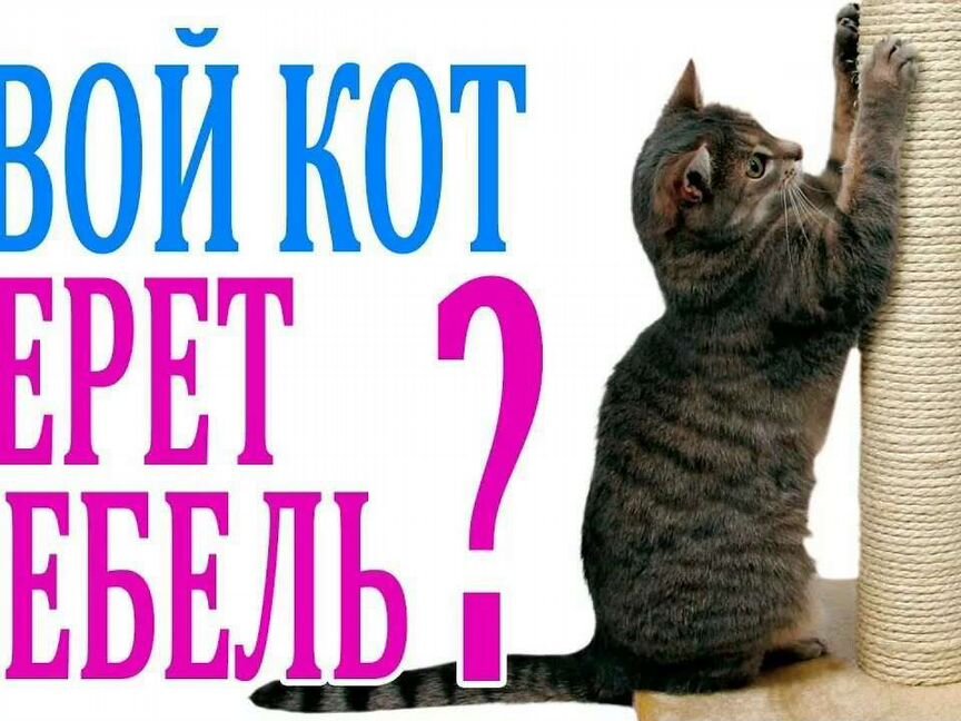 Домик Когтеточка для Кота или Кошки+