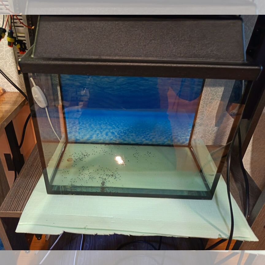 Аквариум 20 л