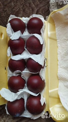 Инкубационное яйцо маран Ч/М