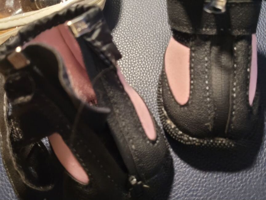 Ботинки для собачки размер 6