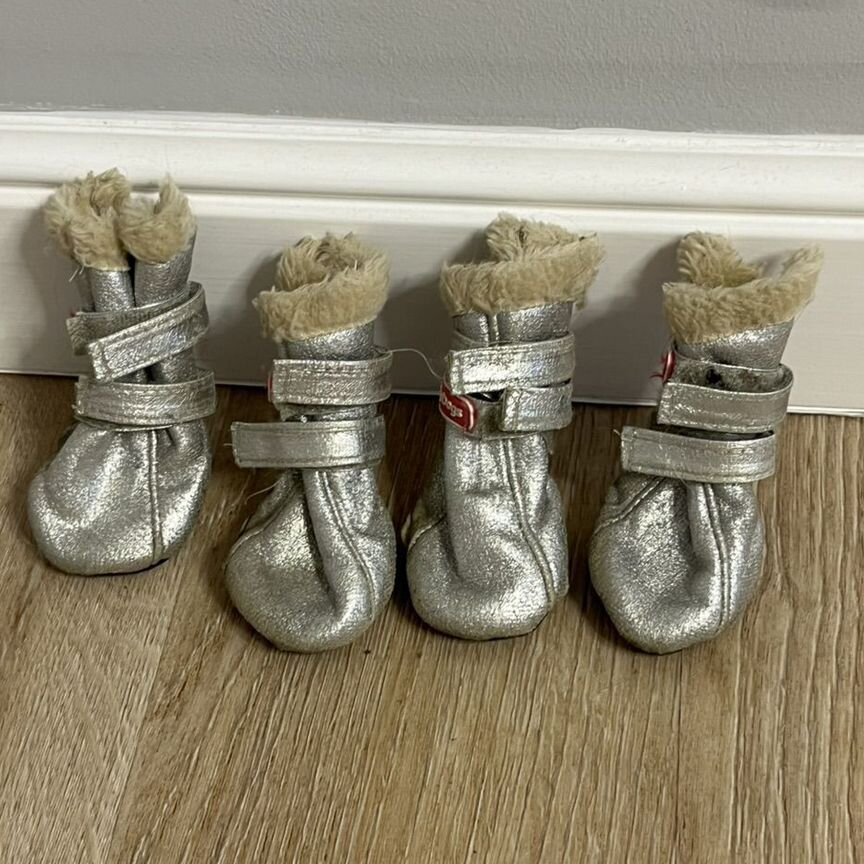 Обувь для собак