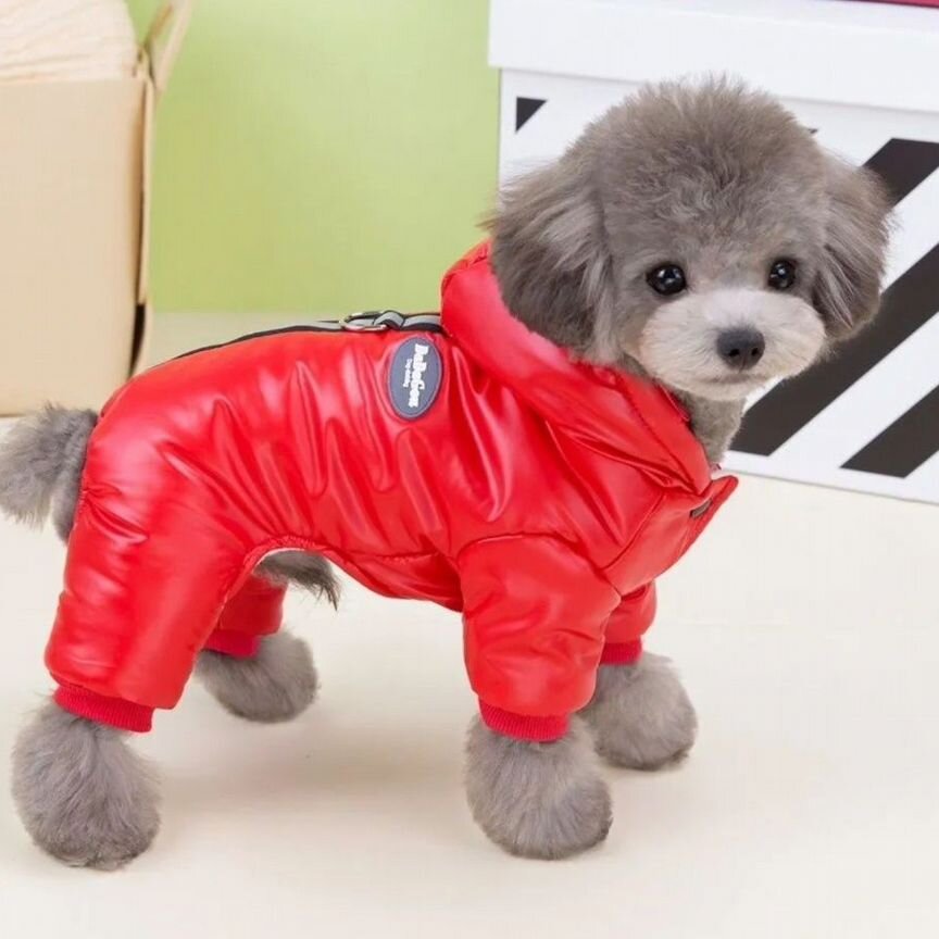 Одежда для маленьких собак зима