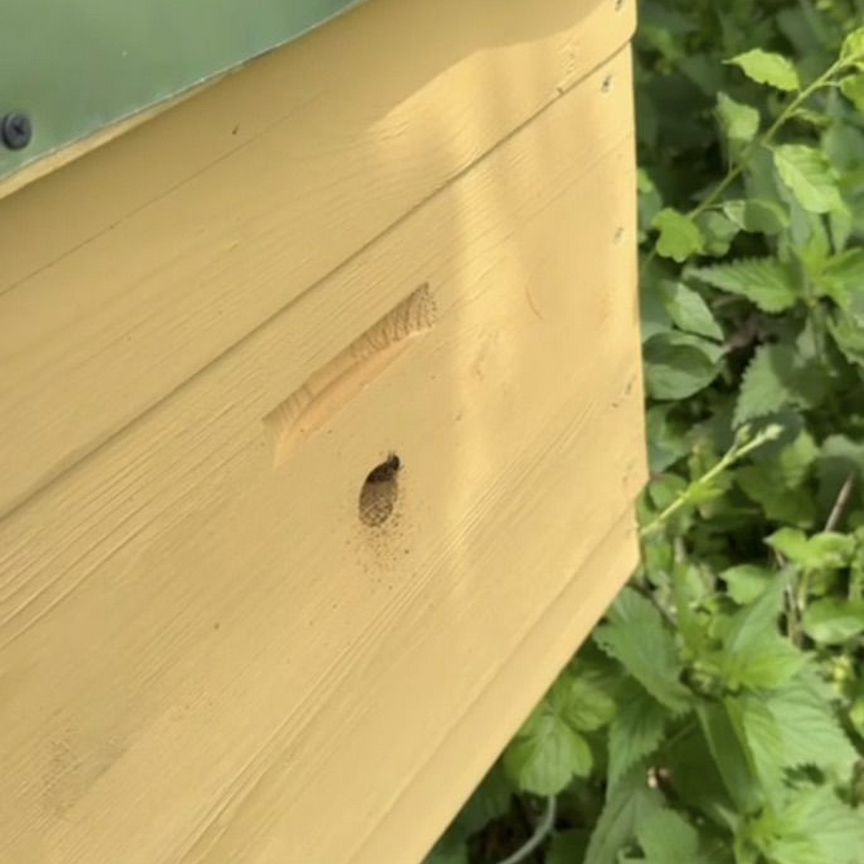 Новый улик с рамками