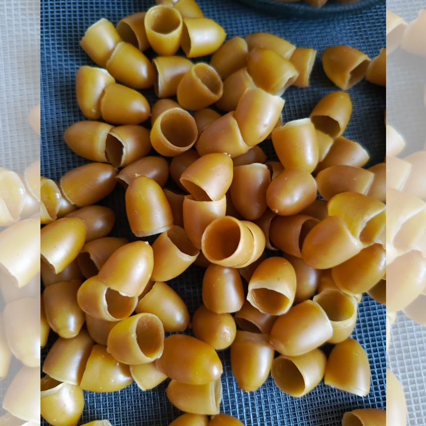 Восковые мисочки для вывода маток