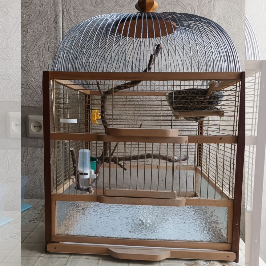 Клетка для птиц б/у