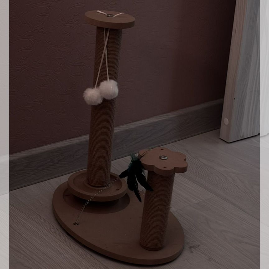 Когтеточка