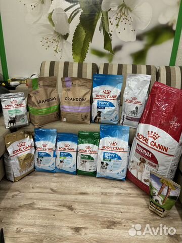 Корм для собак royal canin,grandorf,brooksfield купить в Йошкар-Оле ...