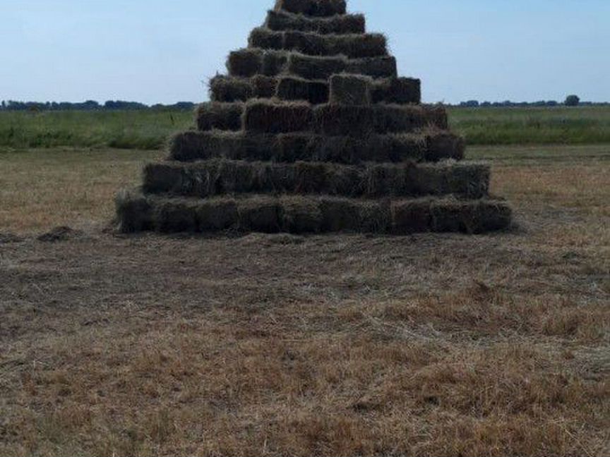 Солома в брикетах