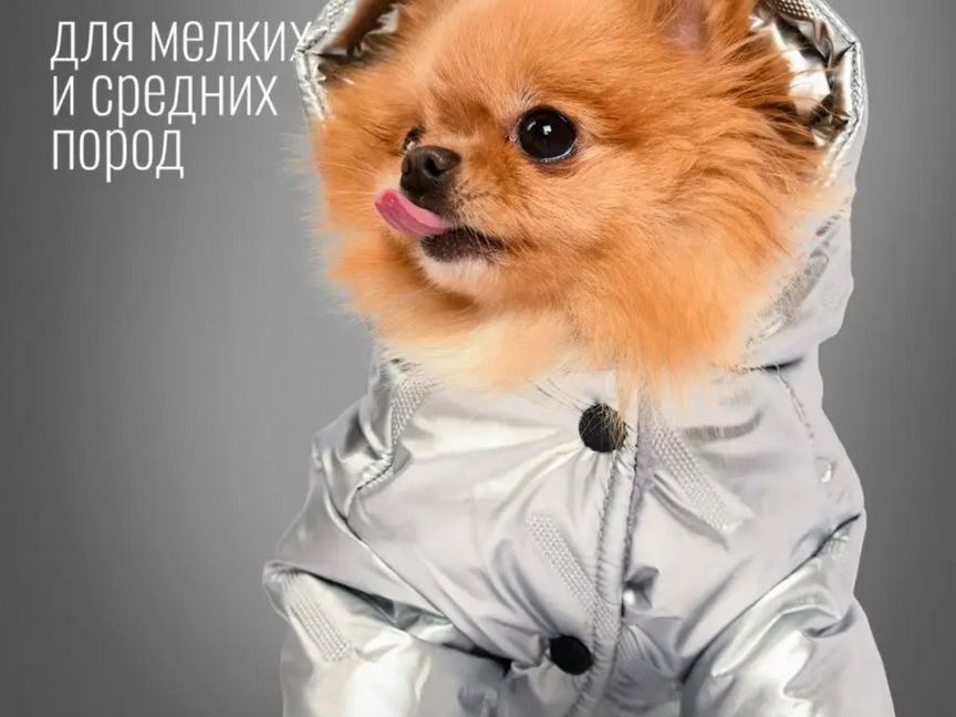 Комбенизон на собаку