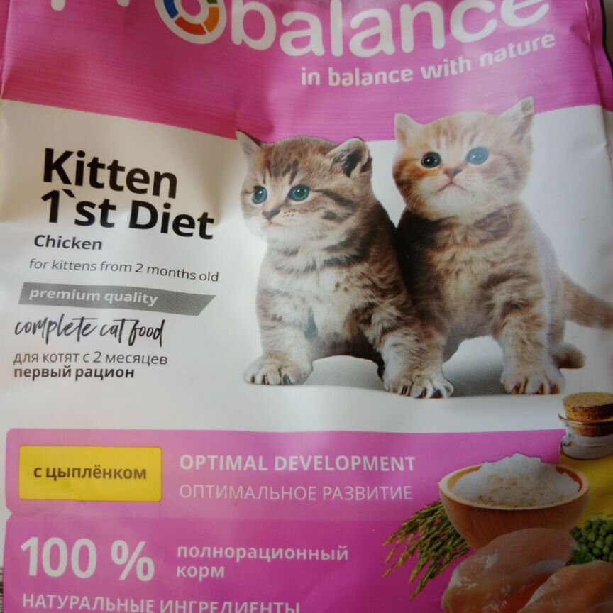 Сухой корм для котят