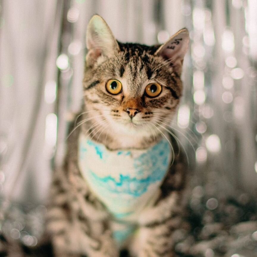 Через 5 дней выпуск на улицу