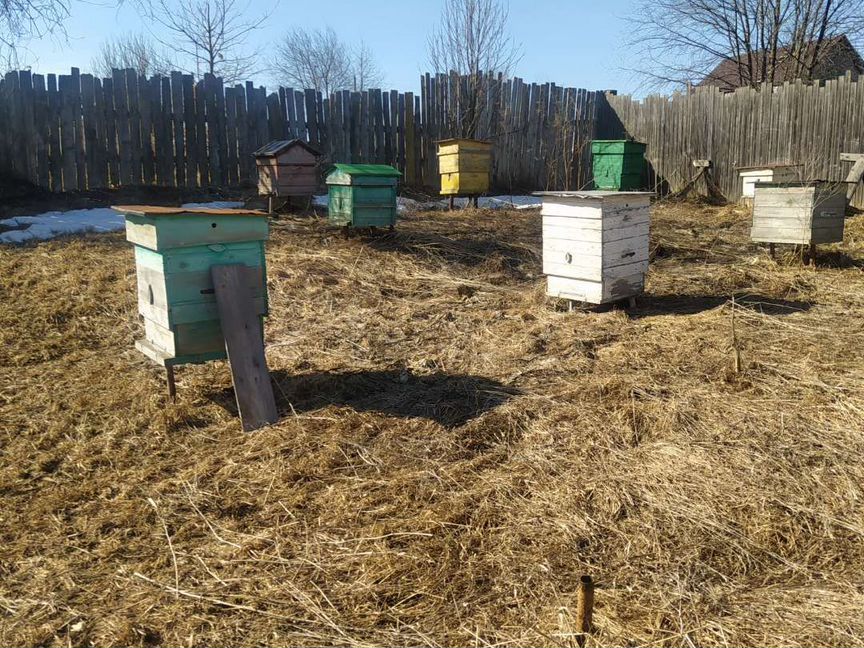 Ульи для пчел бу