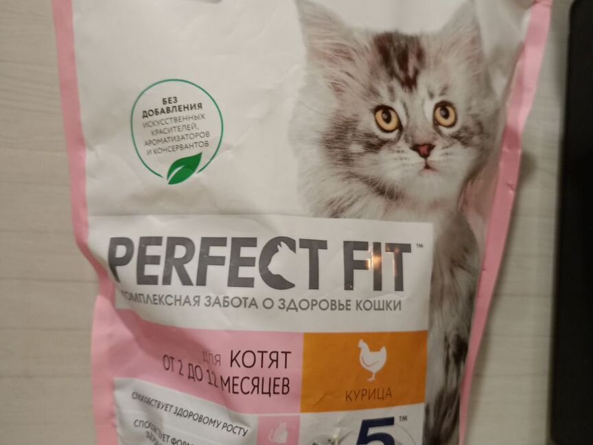 Корм для котят