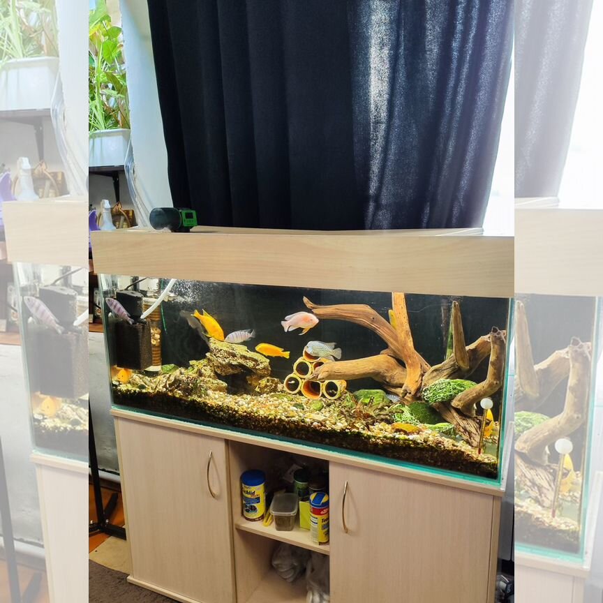 Аквариум 240 литров