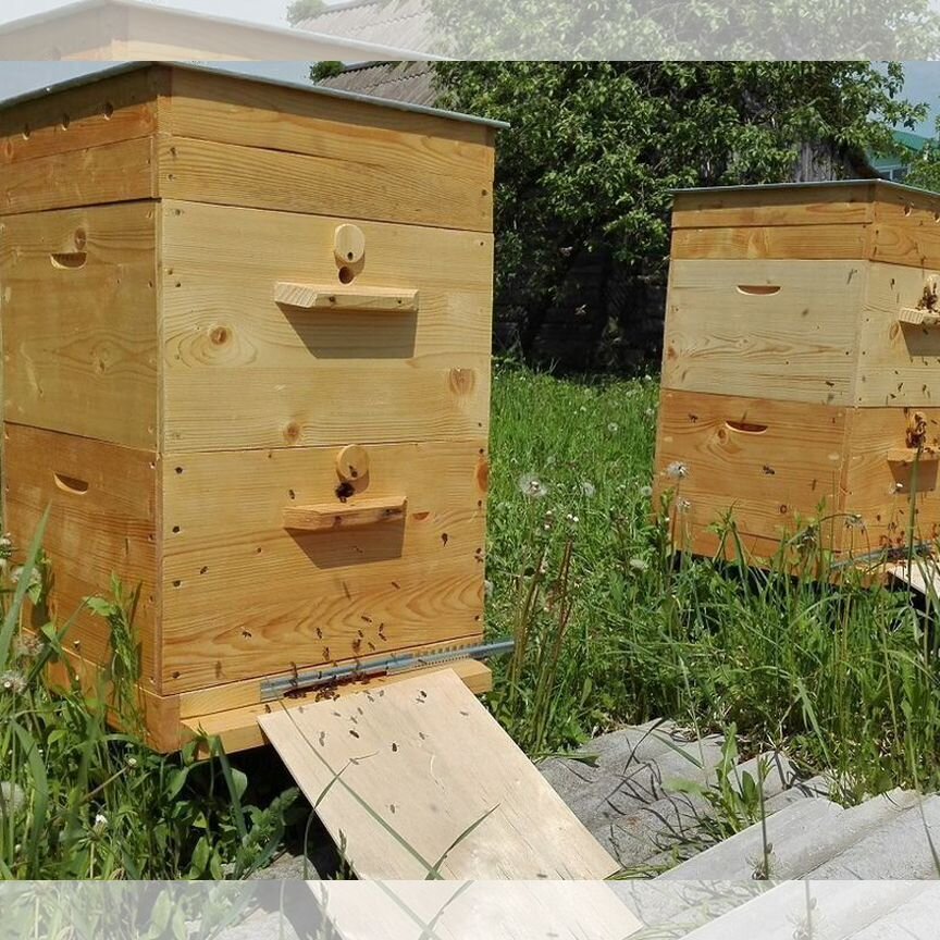 Улий для пчел