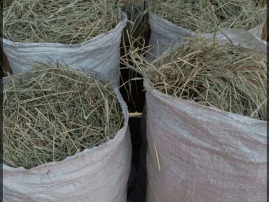 Сено луговое в мешках