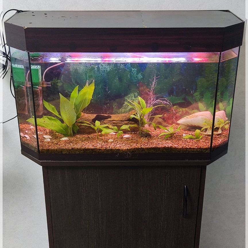 Аквариум тумбой и всем содержимым