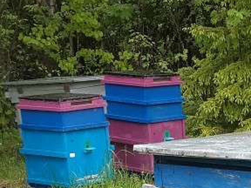 Улей для пчел,на Владимирскую рамку