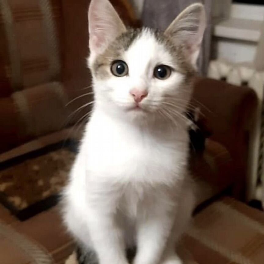 Мальчик ждет свою семью