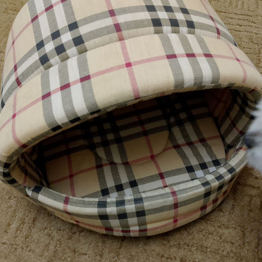 Лежанка для животных