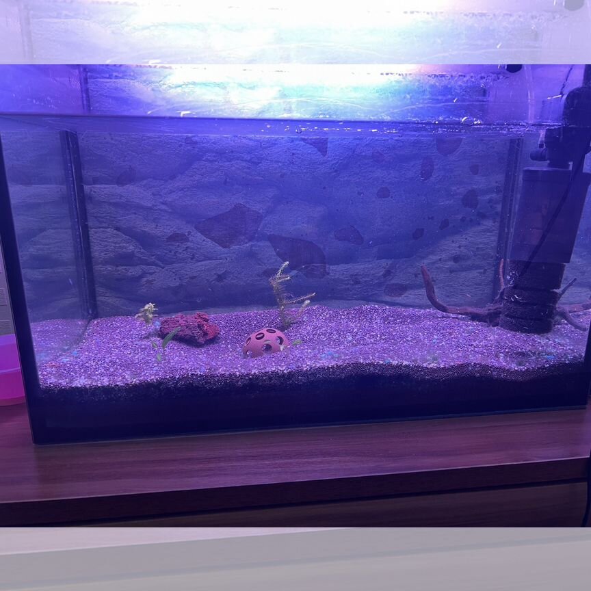 Аквариум 72 литров с приданым