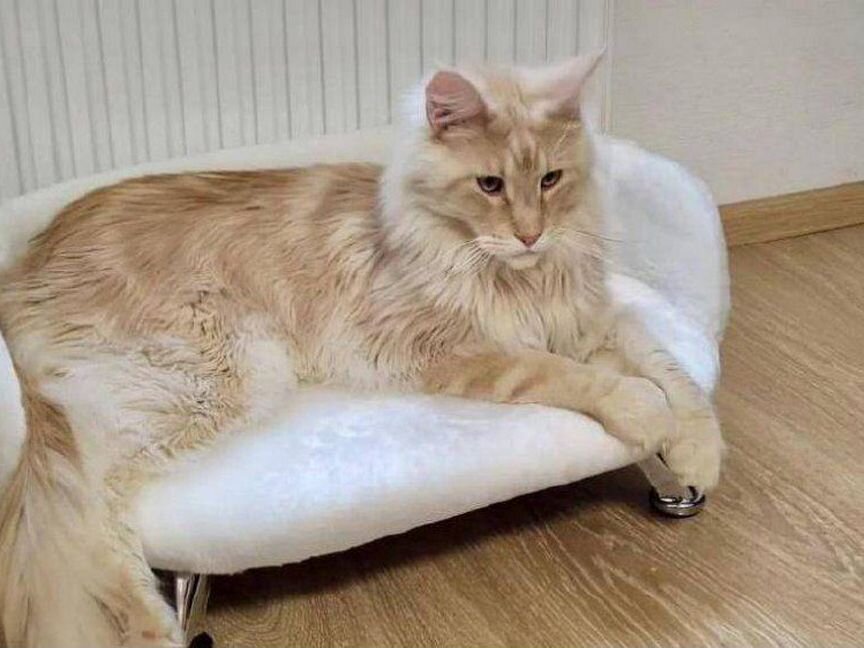 Лежанка для кошек и собак