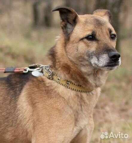 Никто не замечает Лари