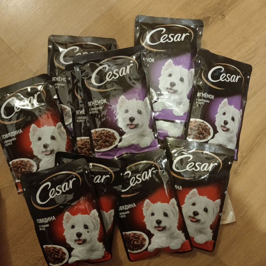 Корм для собак цезарь