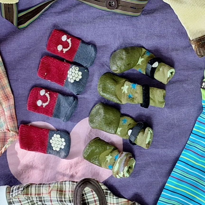 Вещи для йорка