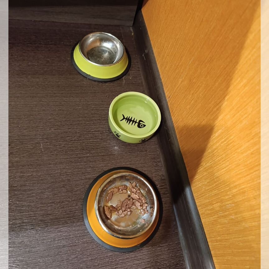 Миски кошачьи бу