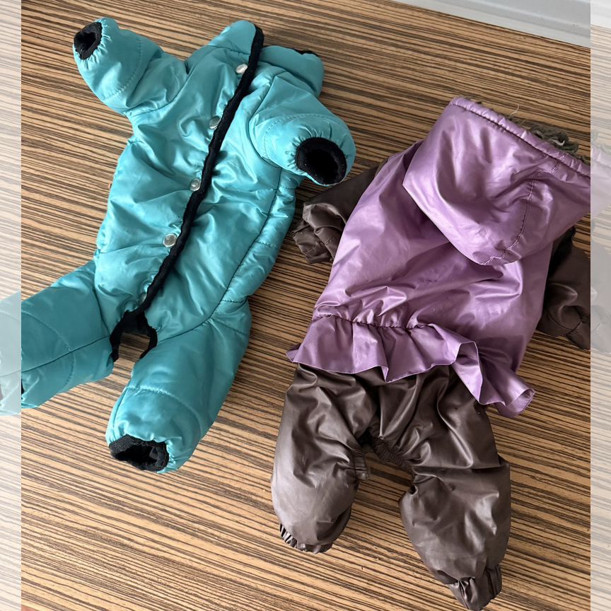 Одежда для маленьких собак