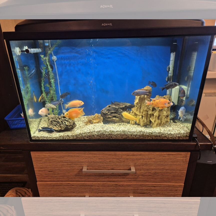 Аквариум Акваель aquael 140л