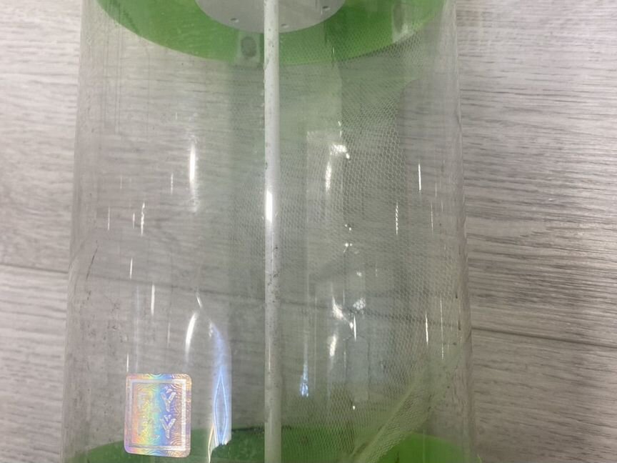 Бабочкарий