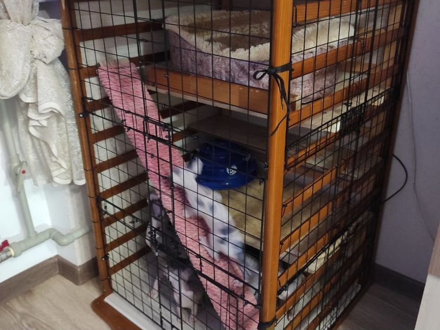 Домик для кошки