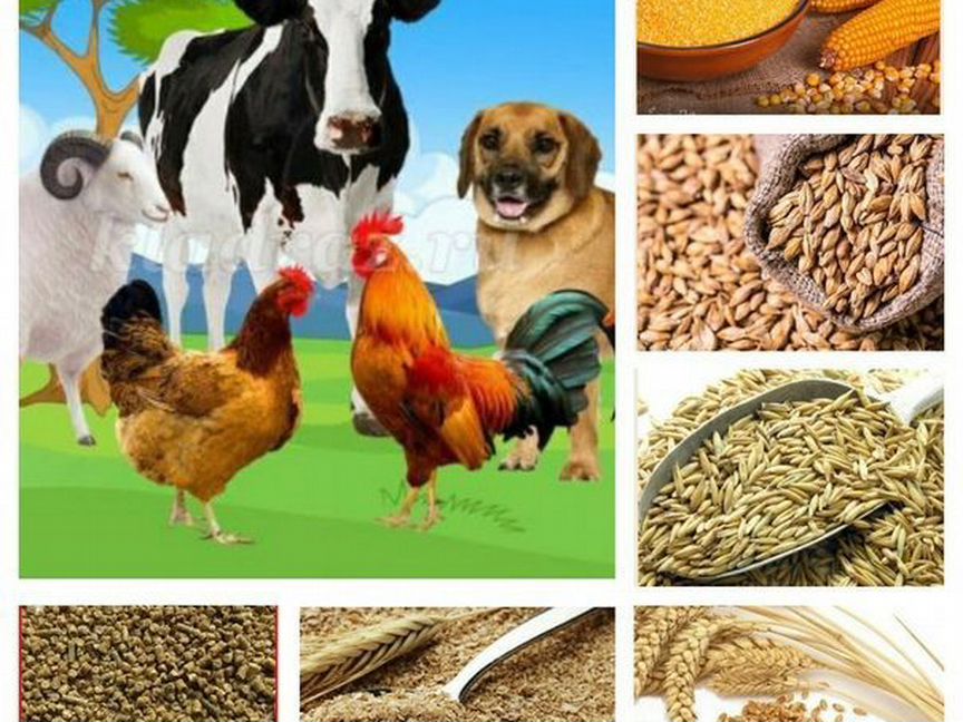Продам корма для животных
