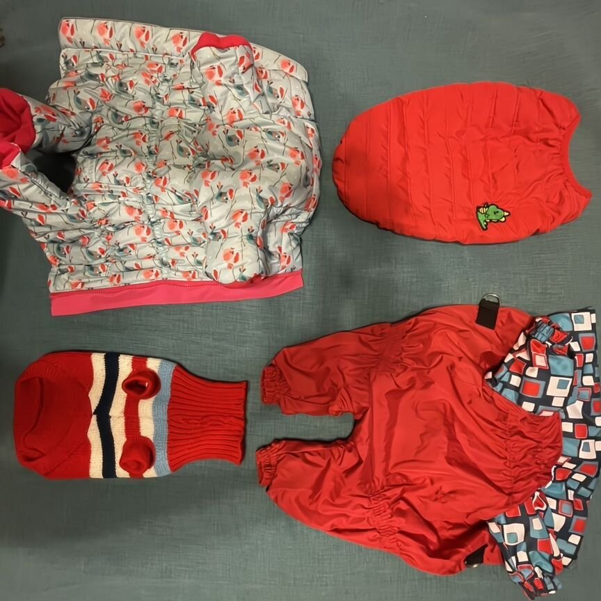 Одежка доя собачки (девочка)